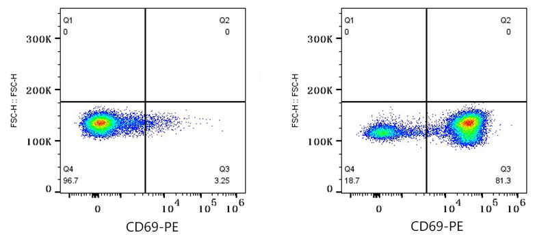 PE Rabbit anti-Mouse CD69 mAb-단일클론항체(mAb) - ABclonal