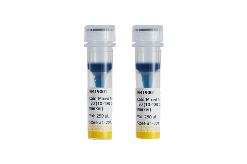 ColorMixed Protein Marker 180 (10-180 kDa) -Protein Marker - ABclonal ...